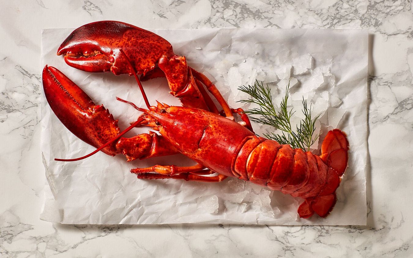Kogt hummer fra Canada